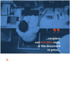 flashgate > Display secure document